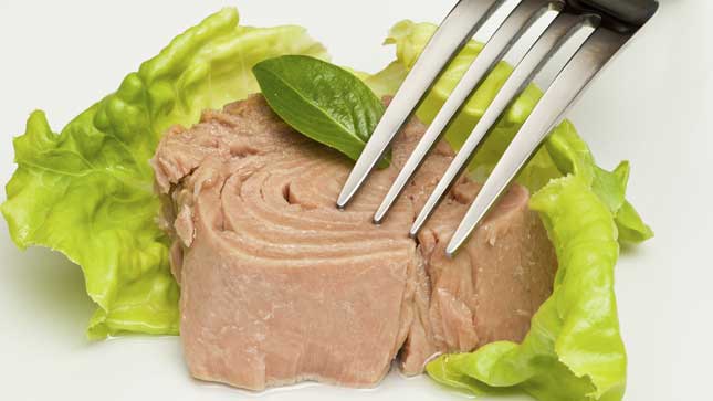 A Dieta do Atum: Como Funciona, Cardápio e Dicas - MundoBoaForma