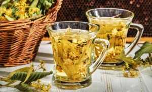 Benefícios da carqueja - Para que serve e como usar - MundoBoaForma