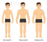 Endomorfo: o que é, dieta e treino - MundoBoaForma