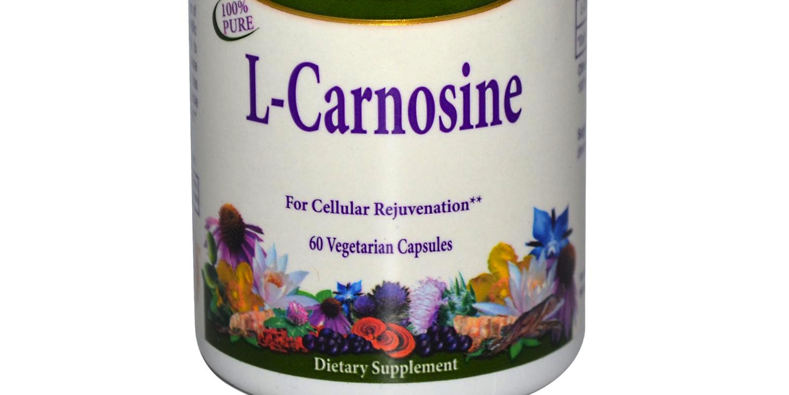 Carnosina: O Que é, Benefícios, Efeitos Colaterais e Como Tomar ...