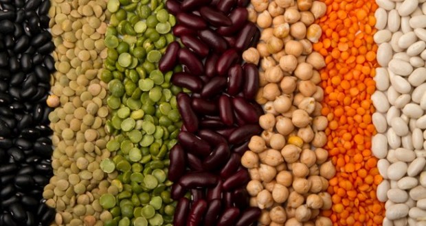 O Que São Leguminosas? Benefícios e Dicas - MundoBoaForma.com.br