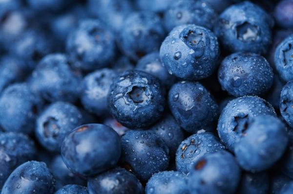 Blueberry (Mirtilo) Emagrece? O Que é, Benefícios e Dicas - MundoBoaForma