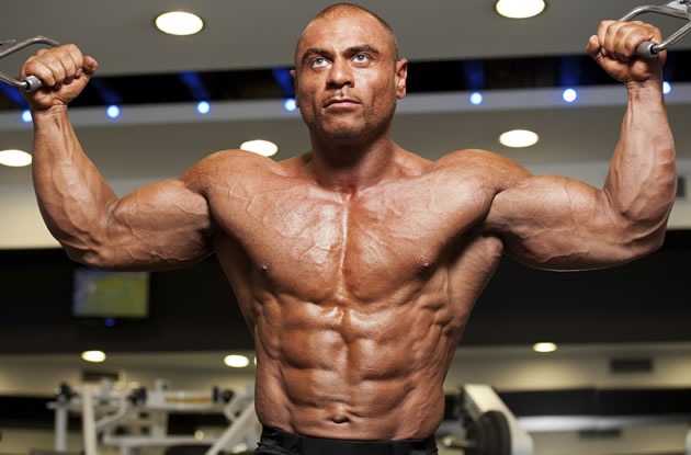 30 Regras Para Ter Resultados Como Bodybuilder - MundoBoaForma