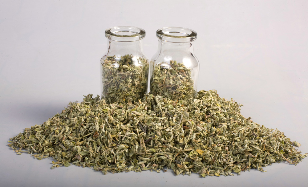 Damiana: Para Que Serve, Efeitos Colaterais e Como Tomar - MundoBoaForma