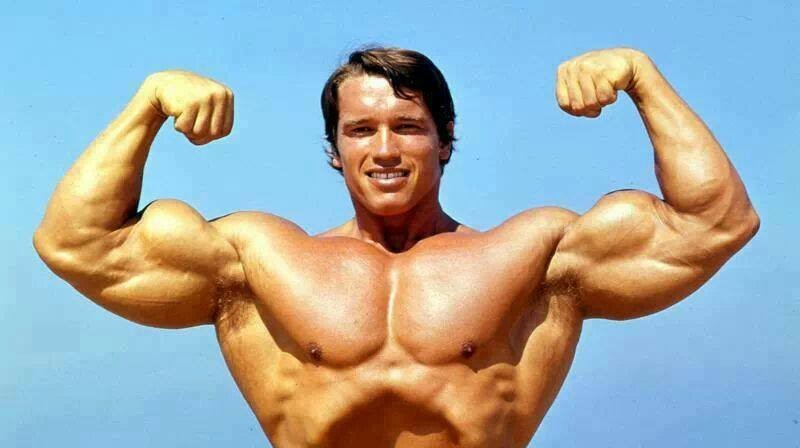 4 Fisiculturistas Que Se Tornaram Estrelas de Cinema - MundoBoaForma