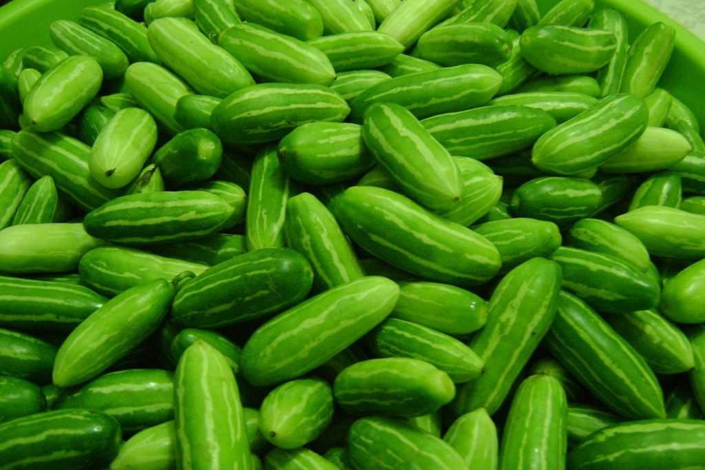 Calorias do Pepino - Tipos, Porções, Dicas e Receitas - MundoBoaForma