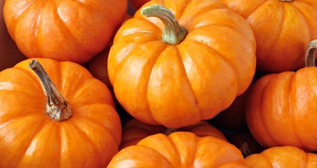 12 Benefícios da Abóbora - Para Que Serve e Propriedades ...