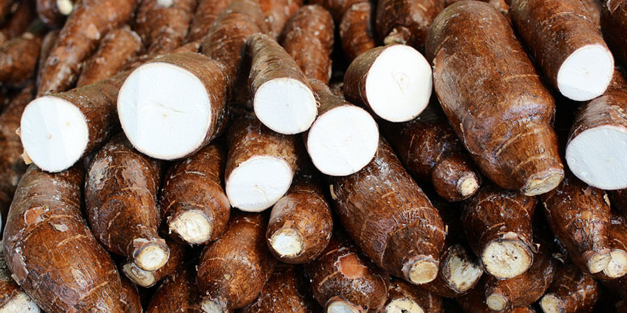 10 Benefícios da Mandioca - Para Que Serve e Propriedades - MundoBoaForma