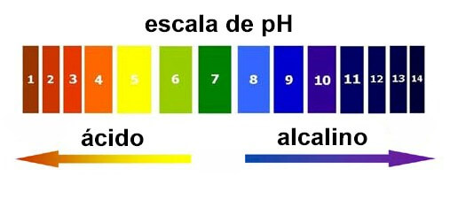 Água Alcalina - O que é, Benefícios, Dieta, Como Preparar e Onde ...