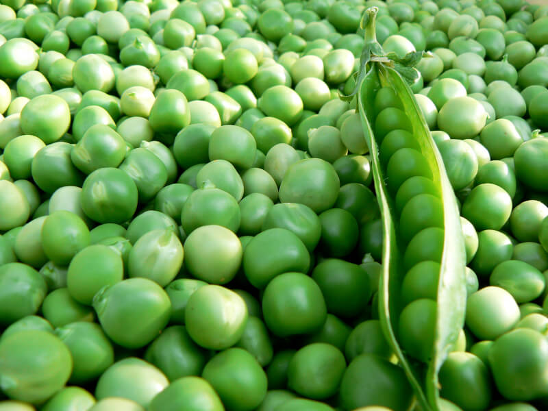 12 Benefícios da Ervilha - Para Que Serve e Propriedades - MundoBoaForma