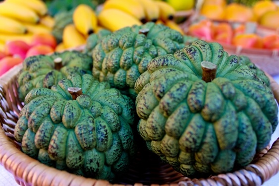 Fruta do Conde engorda? Propriedades e benefícios - MundoBoaForma