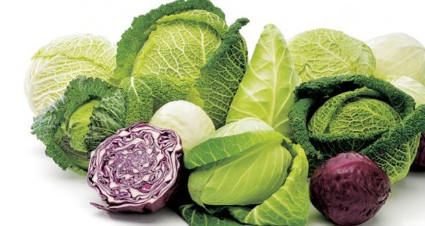 8 Alimentos Ricos em Enxofre - MundoBoaForma.com.br