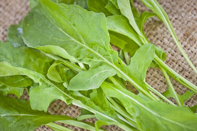 11 Benefícios da Rúcula - Para Que Serve e Propriedades - MundoBoaForma ...