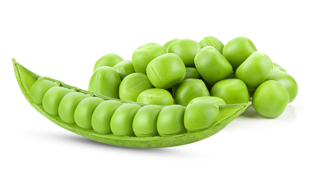 Tipos De Vagem Comestível - FDPLEARN