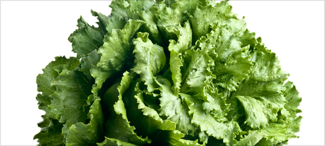 8 Benefícios da Chicória - Para Que Serve e Propriedades ...