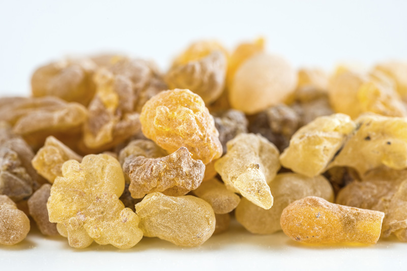 Boswellia Serrata: Benefícios, Efeitos Colaterais e Como Tomar ...