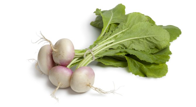 7 Benefícios do Nabo - Para Que Serve e Propriedades - MundoBoaForma.com.br
