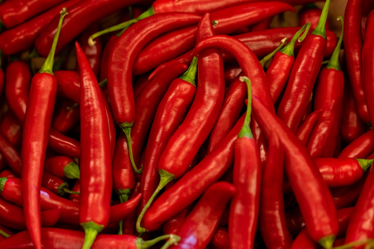 Capsaicina: o que é, benefícios e efeitos - MundoBoaForma
