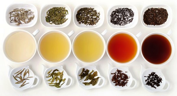 16 opções de chá natural para emagrecer - MundoBoaForma