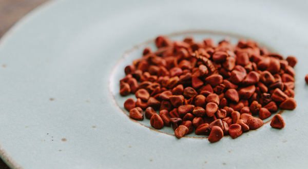 Urucum Emagrece? Benefícios, Para Que Serve e Dicas - MundoBoaForma.com.br