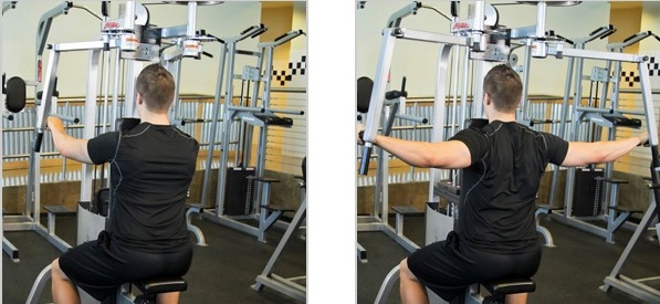 10 Melhores Exercícios para Ombros - Casa e Academia! - MundoBoaForma