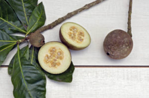 Benefícios do Jenipapo, dicas e receitas - MundoBoaForma