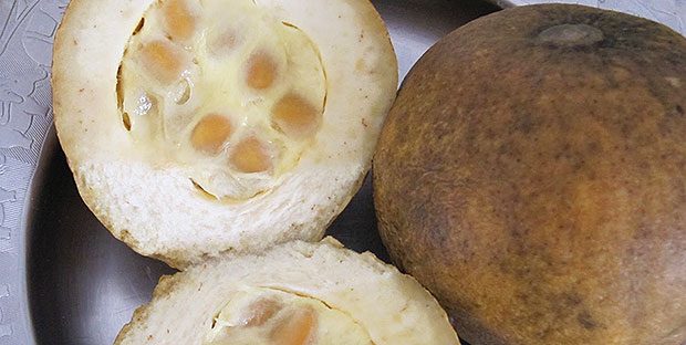 14 Benefícios do Jenipapo - Para Que Serve e Propriedades ...