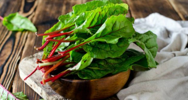 10 Receitas de Salada de Acelga - MundoBoaForma.com.br