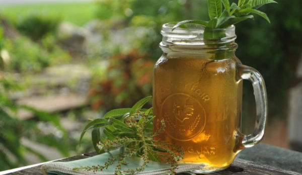 Chá de limonete - Para que serve, propriedades e benefícios - MundoBoaForma