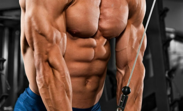 10 Melhores Exercícios para Tríceps - Casa e Academia - MundoBoaForma