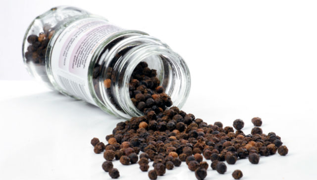 Benefícios da pimenta do reino - Como plantar e usar - MundoBoaForma