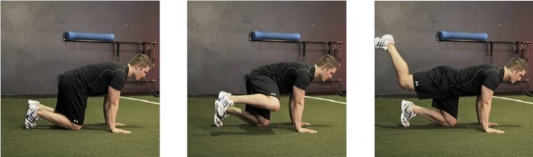 Músculo Abdutor - Exercícios e Anatomia - MundoBoaForma