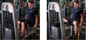 Músculo Abdutor - Exercícios e Anatomia - MundoBoaForma