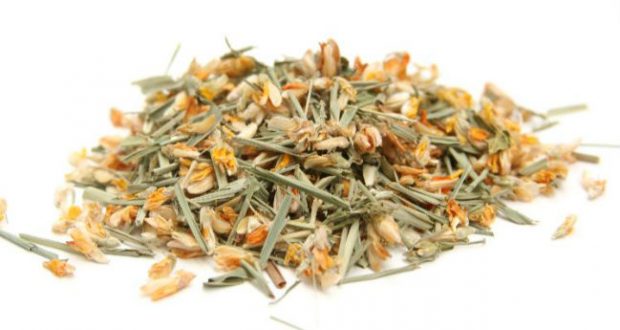 Como Fazer Chá de Carqueja - Receita, Benefícios e Dicas ...