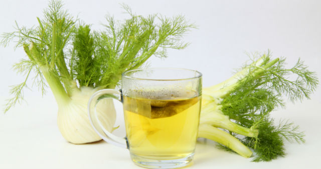 Como fazer chá de Funcho - Receita, benefícios e dicas - MundoBoaForma