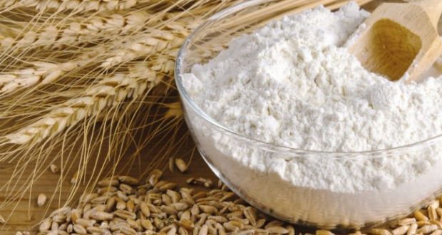 Farinha de Trigo Faz Mal Mesmo? - MundoBoaForma.com.br