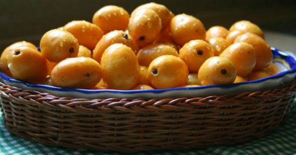 Benefícios da Seriguela - Para que serve e como usar - MundoBoaForma