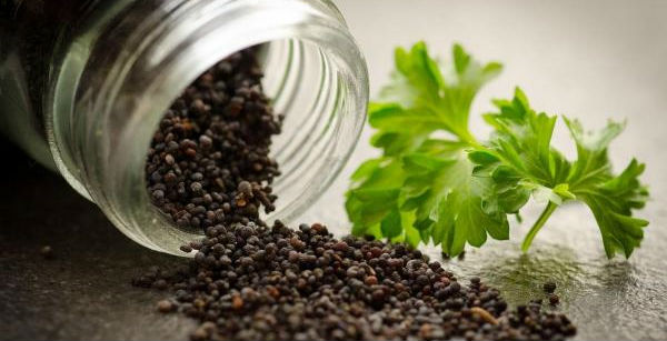 Piperina Emagrece? O Que é, Para Que Serve, Efeitos Colaterais e Como ...