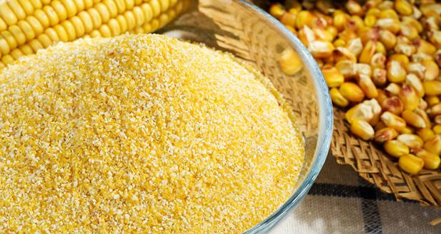 Fubá Prende ou Solta o Intestino? - MundoBoaForma.com.br