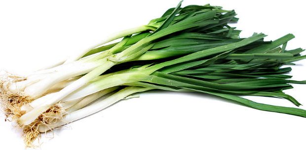 8 Benefícios do Alho Poró - Para Que Serve e Propriedades ...