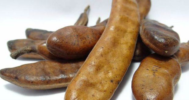 Jucá Emagrece? Para Que Serve e Benefícios - MundoBoaForma.com.br