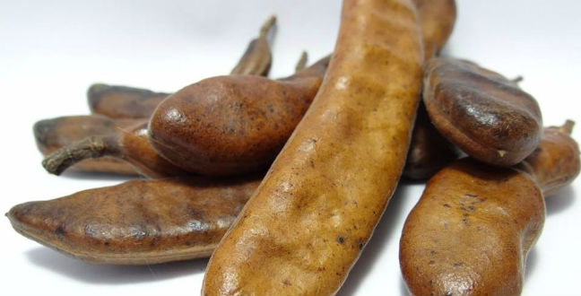 Jucá emagrece? Para que serve e benefícios - MundoBoaForma