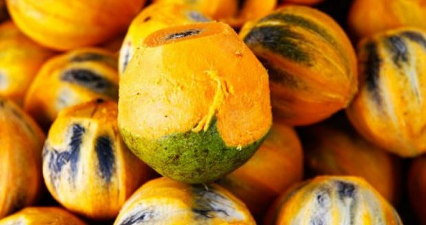 5 Benefícios do Tucumã - Para Que Serve e Propriedades - MundoBoaForma ...