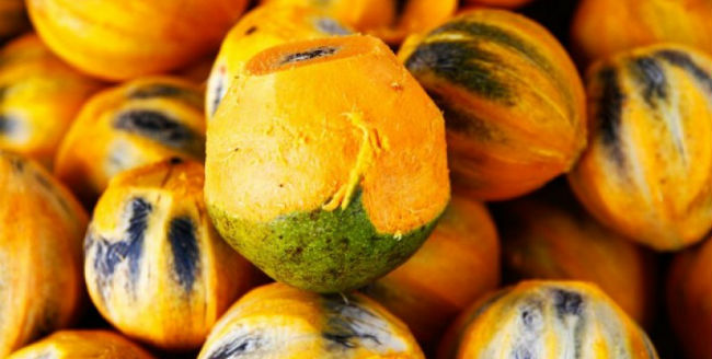 5 Benefícios do Tucumã - Para Que Serve e Propriedades - MundoBoaForma