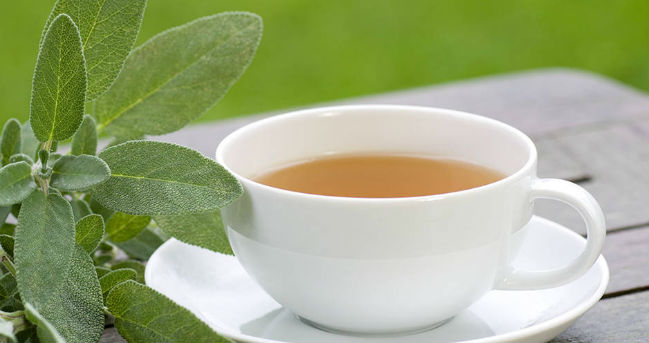 Chá de Sálvia Emagrece? Para Que Serve, Como Fazer e Benefícios ...