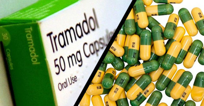 Tramadol Engorda? Para Que Serve e Efeitos Colaterais - MundoBoaForma