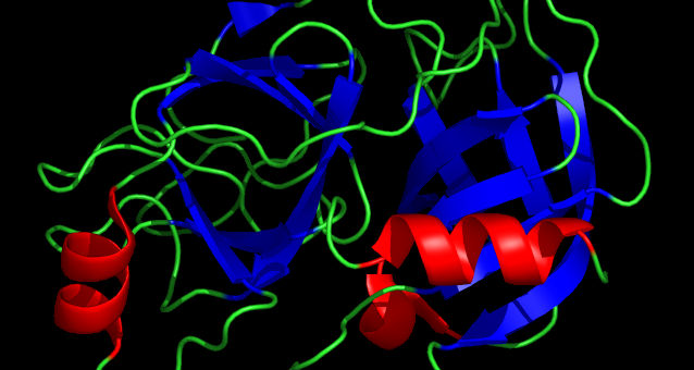 Tripsina - O Que é e Para Que Serve - MundoBoaForma