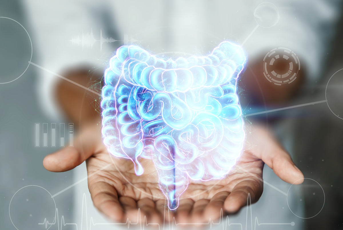O que ajuda sua microbiota intestinal? - MundoBoaForma