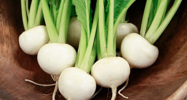 Nabo Emagrece Mesmo? - MundoBoaForma.com.br