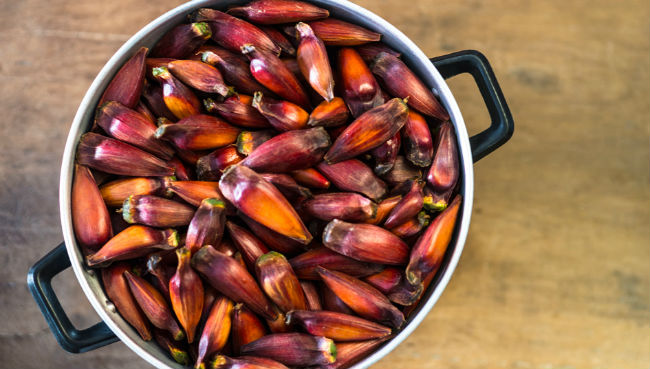 9 Benefícios do Pinhão - Para Que Serve e Propriedades - MundoBoaForma